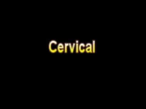 What Is The Definition Of Cervical Medical Dictionary Free Online - YouTube