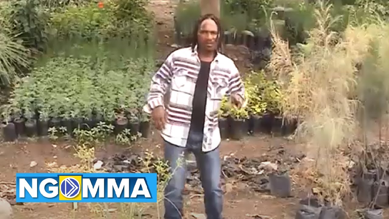 Mashambiki Makwa By Kavumbu Boys Band - YouTube