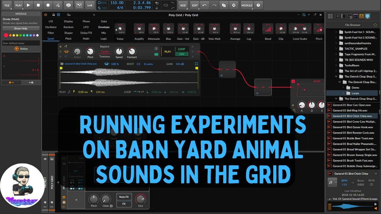 Experiments on Animal Sounds in Bitwig Grid - YouTube
