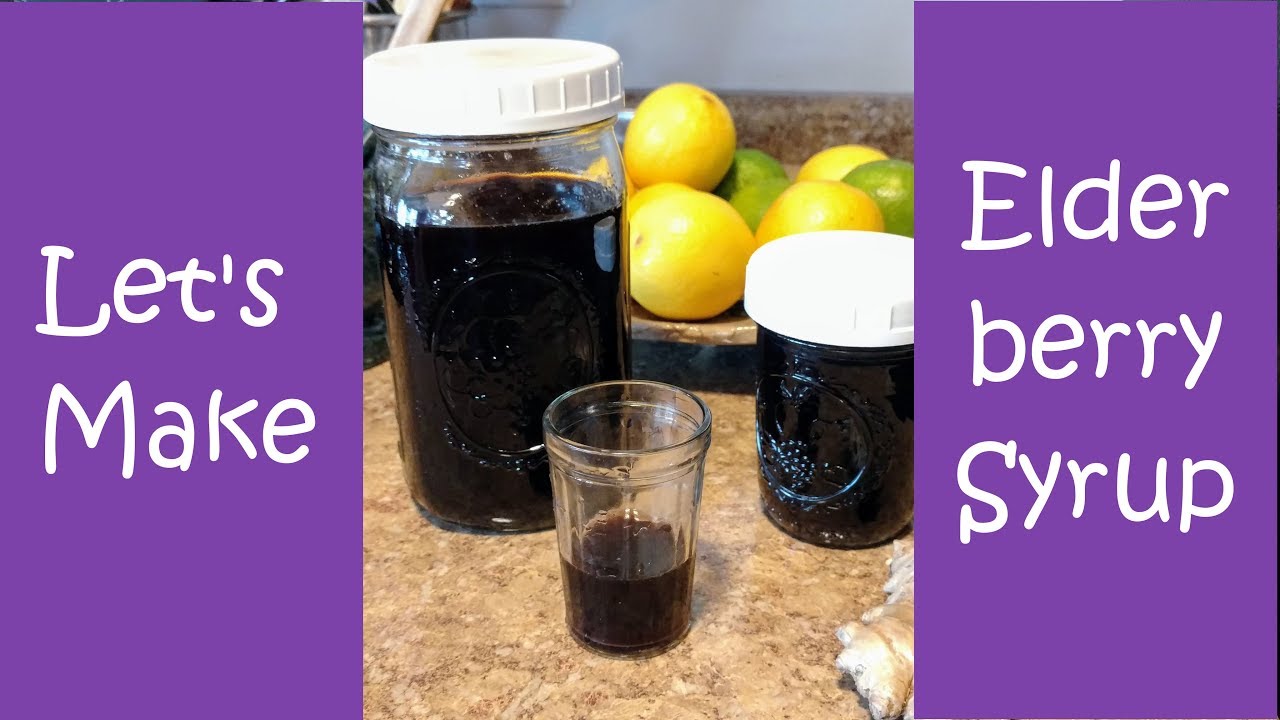 Echota's Immune Boosting Elderberry Syrup [Recipe][Medical Medium ...