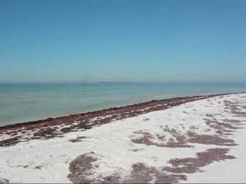 Three Rooker Island - Alchetron, The Free Social Encyclopedia