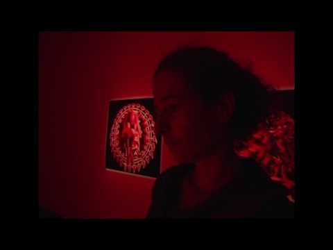 Churchill Madikida - Status - documenta 12 - Neue Galerie 2007