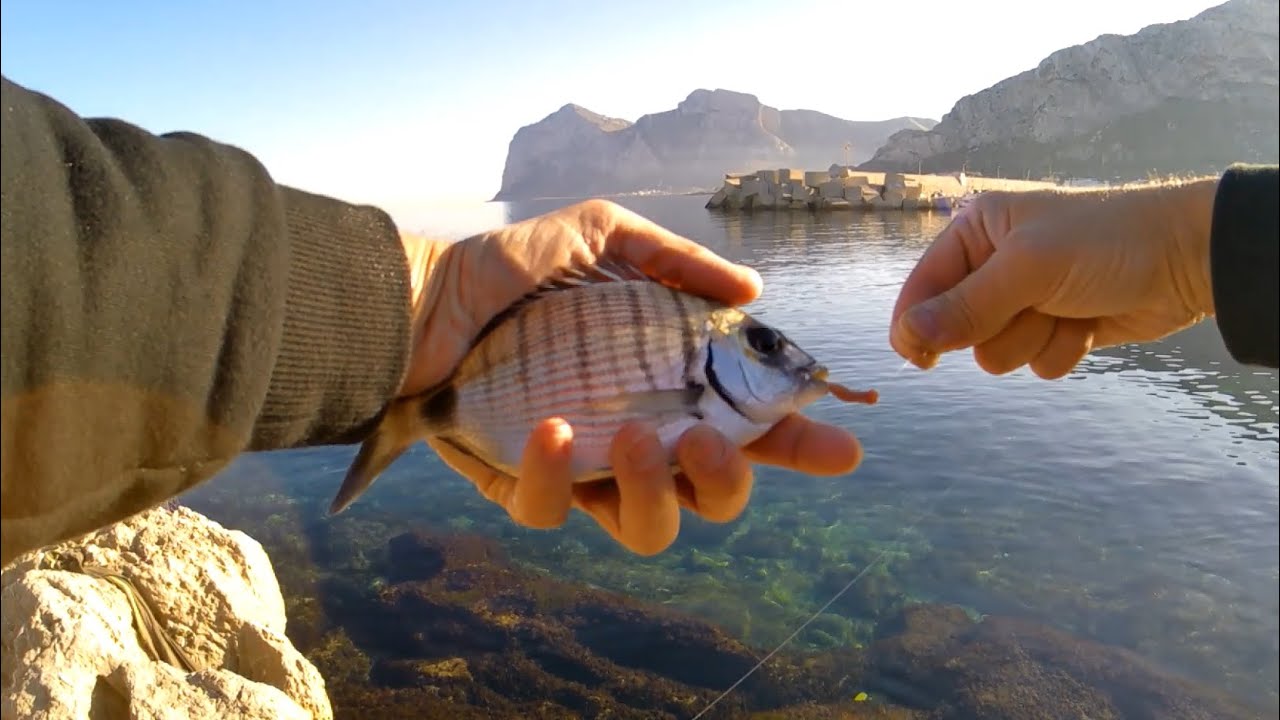A pesca con il coreano. Tanto divertimento e tanti rilasci, nessuna ...