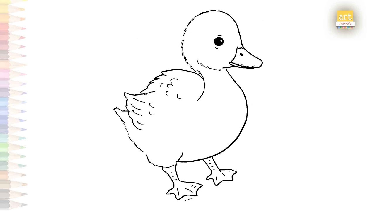 Duck drawing simple easy | Bird art sketches | How to draw A Duck step ...