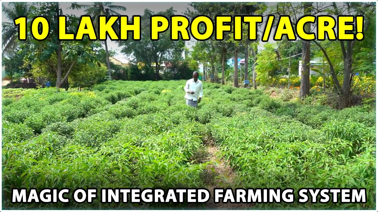 How This Farmer Earns 10 Lakh Per Acre! The Magic of Integrated Farming ...
