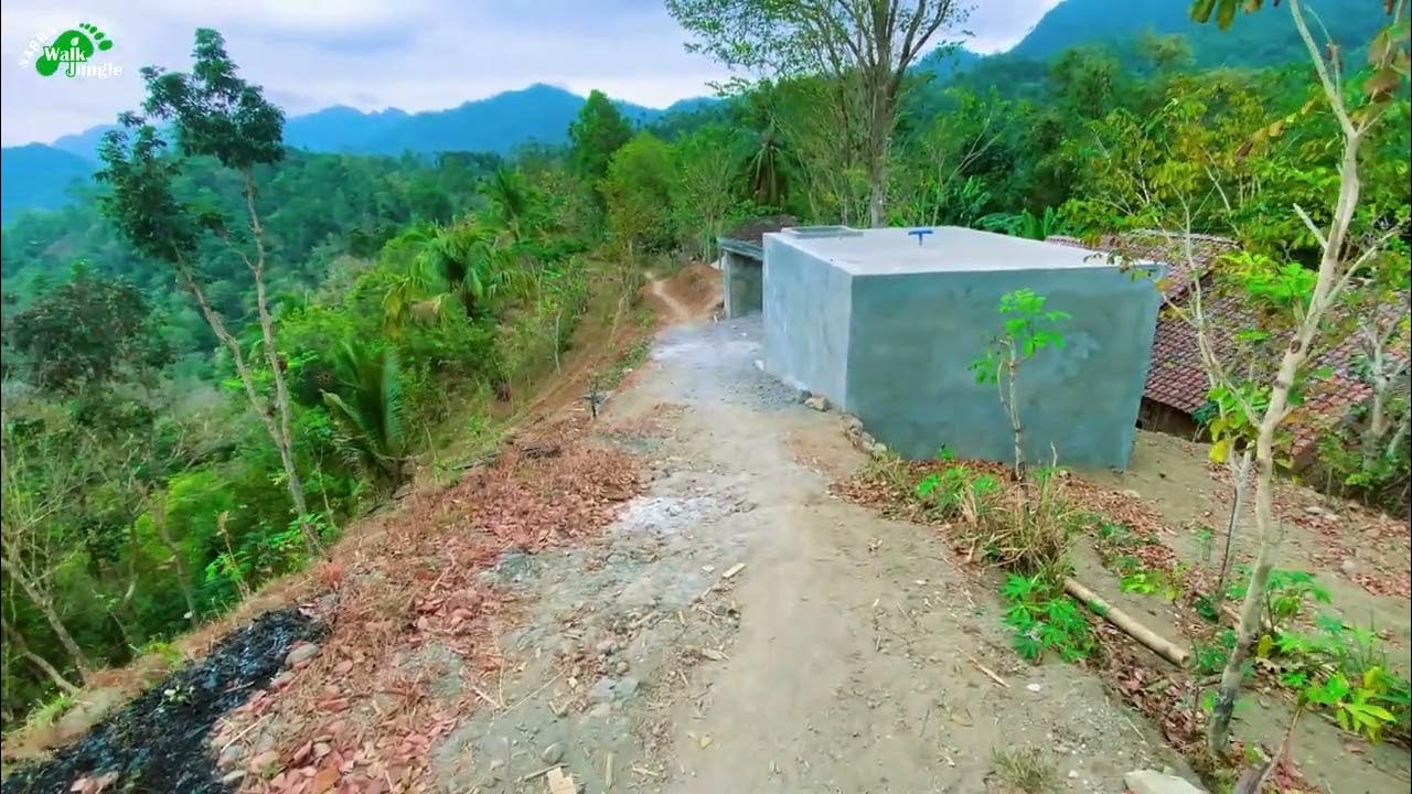 Journey Through Java: Stunning 4K Views of Greenes Forest Trail - YouTube