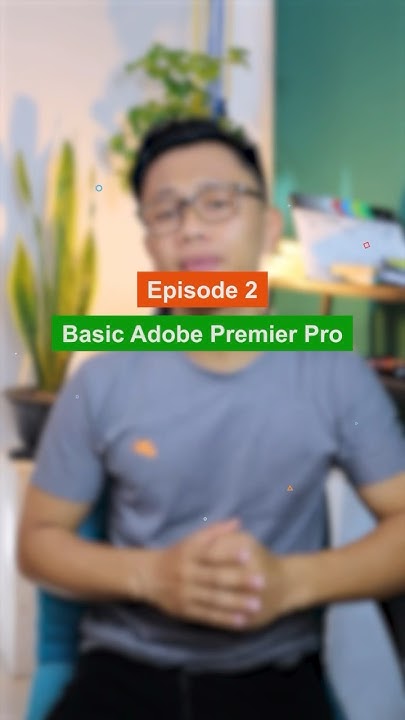 cara menggunakan keyframe | episode 2 premier pro - YouTube