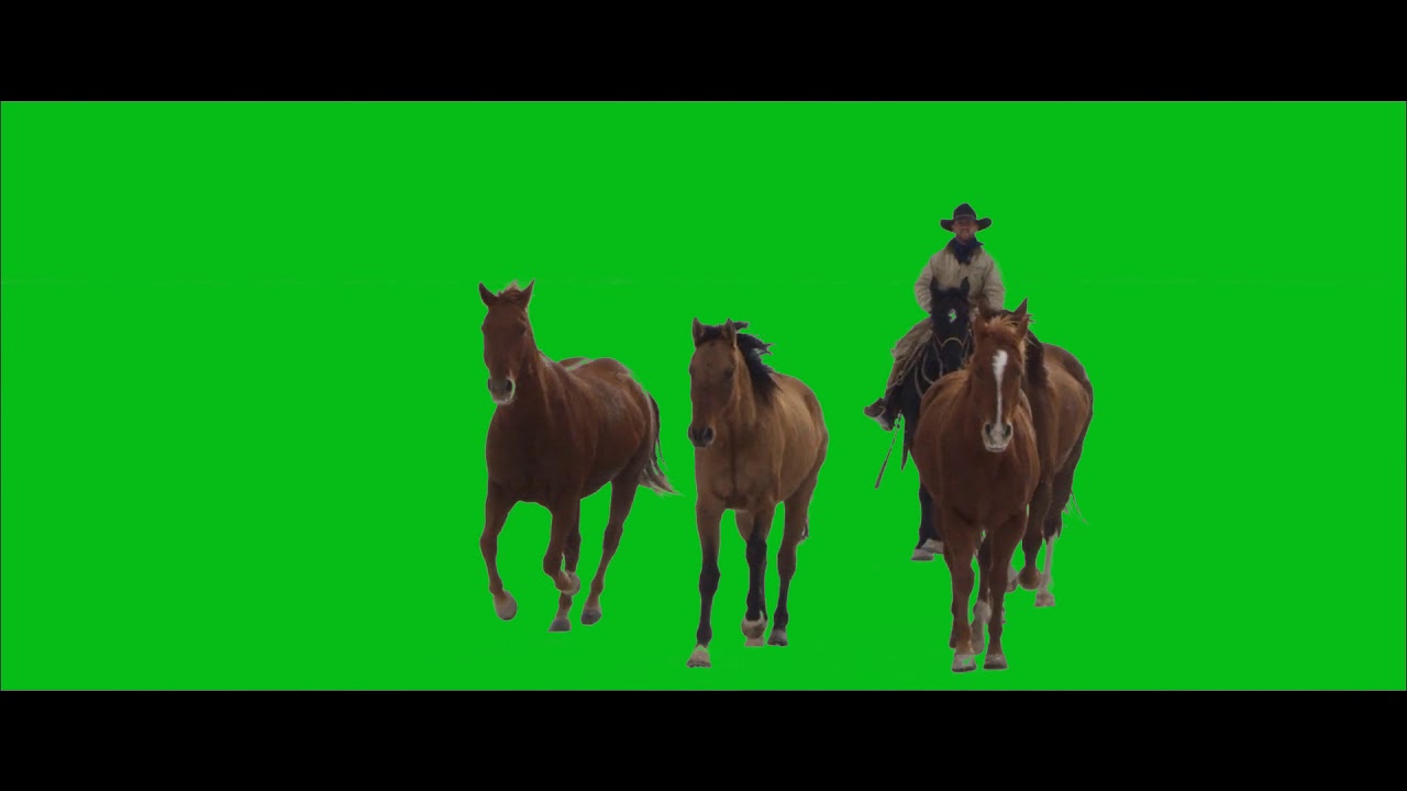 Green Screen Slow motion of cowboy riding behind 3 horses running Full ...
