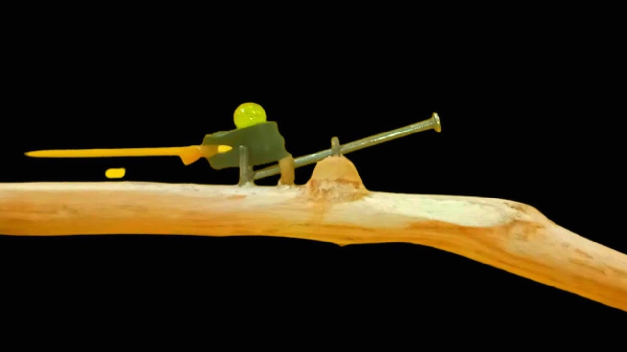DIY Slingshot - Nail Slingshot And Wood - YouTube