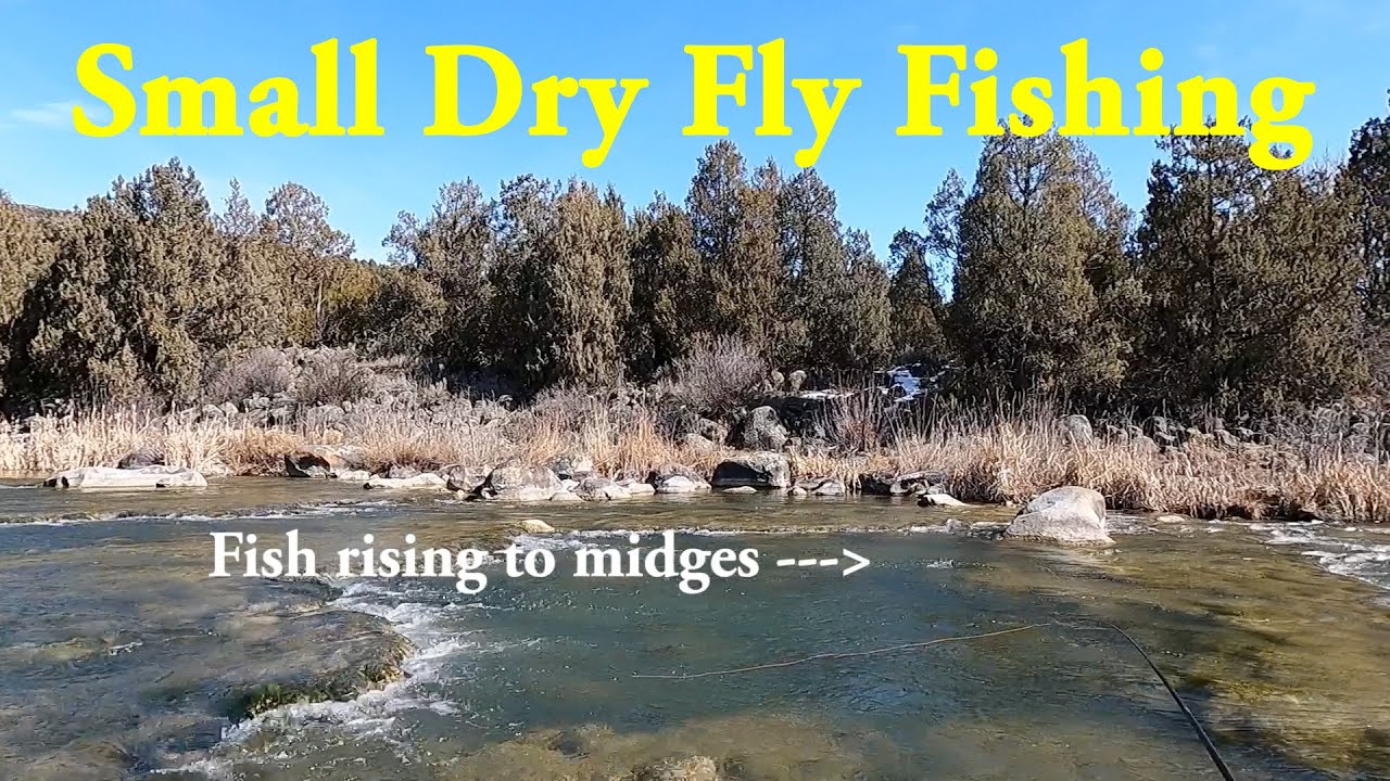 Small Dry Fly Fishing with Tenkara - YouTube
