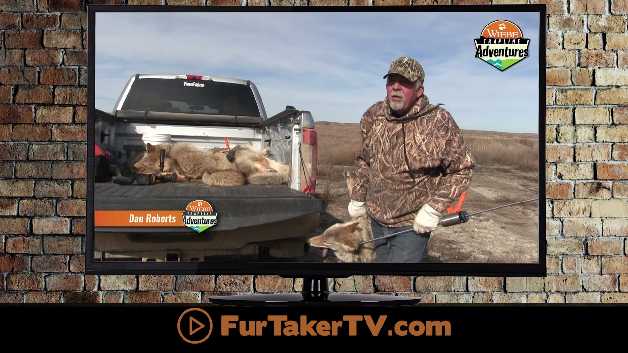 Fur Taker TV - YouTube