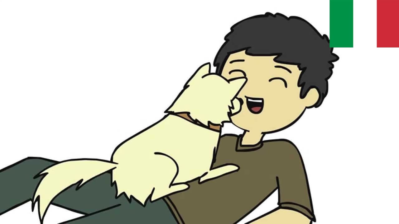 Interazioni Coi Cani - Domics ITA - Orion - YouTube