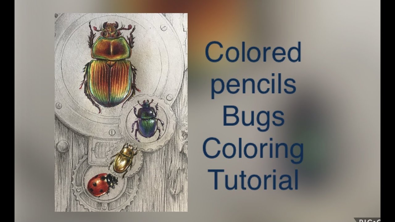 Colored pencils coloring Bugs - YouTube