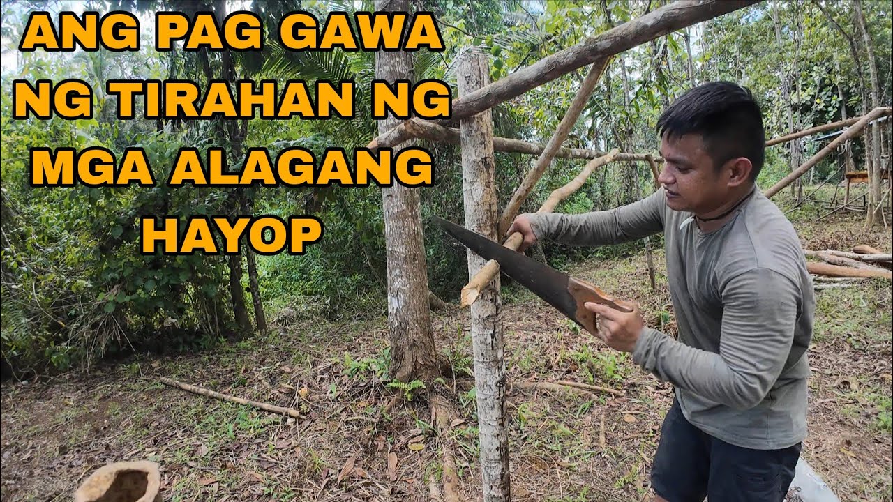 PAG GAWA NG TIRAHAN NG MGA ALAGANG HAYOP || November 7, 2025 - YouTube