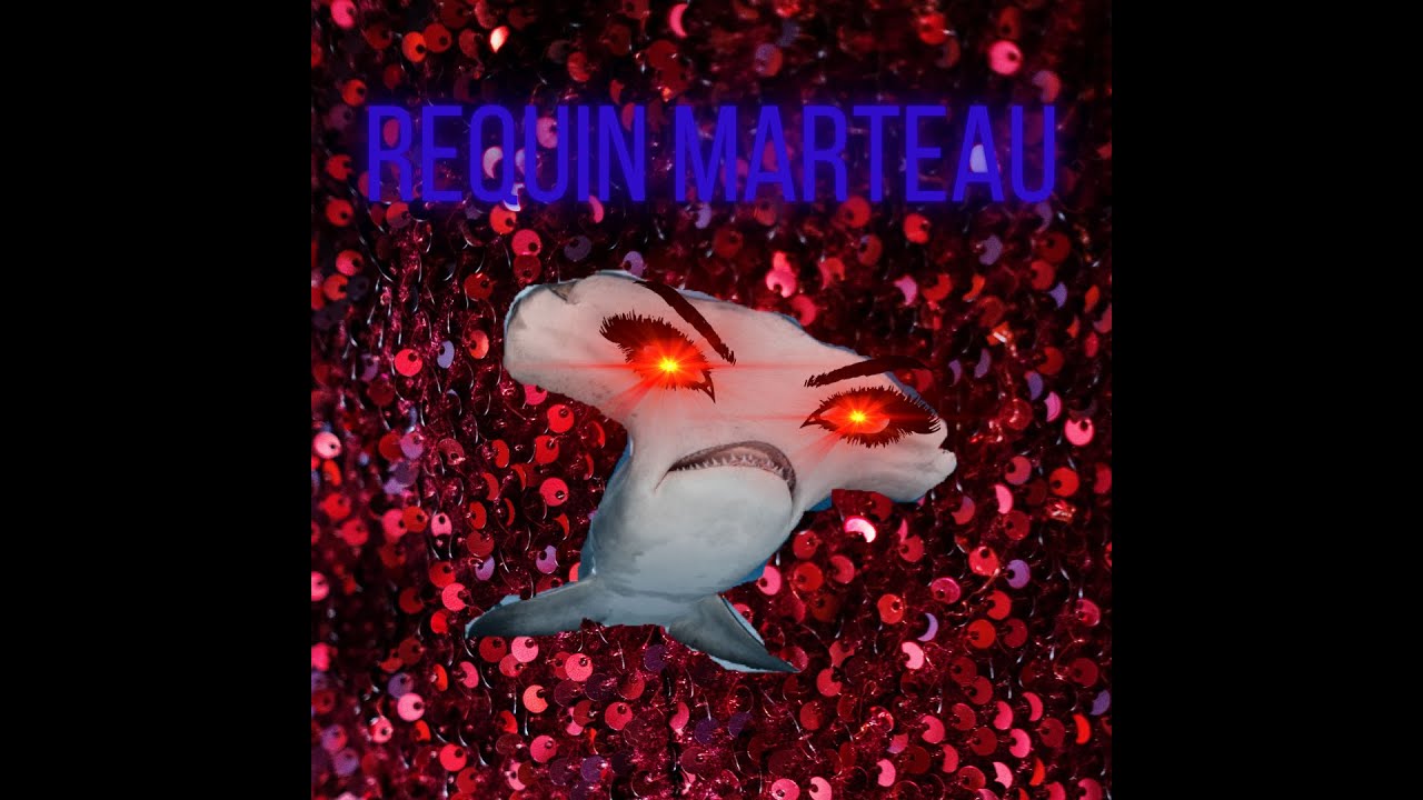 Argalouve - Requin Marteau - YouTube