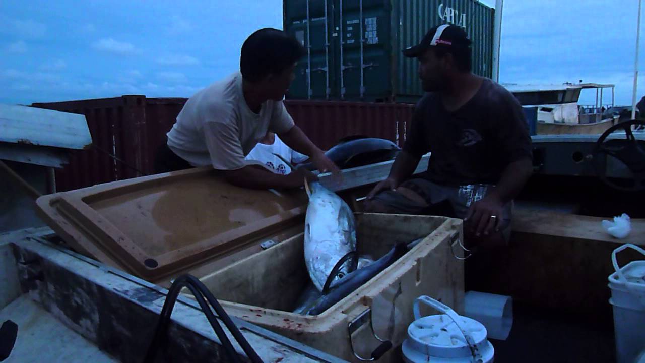 Nauru - Tuna Fishermen - YouTube