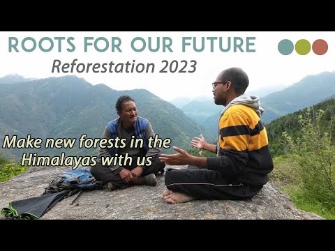 Roots for our future - Reforestation 2023 - YouTube