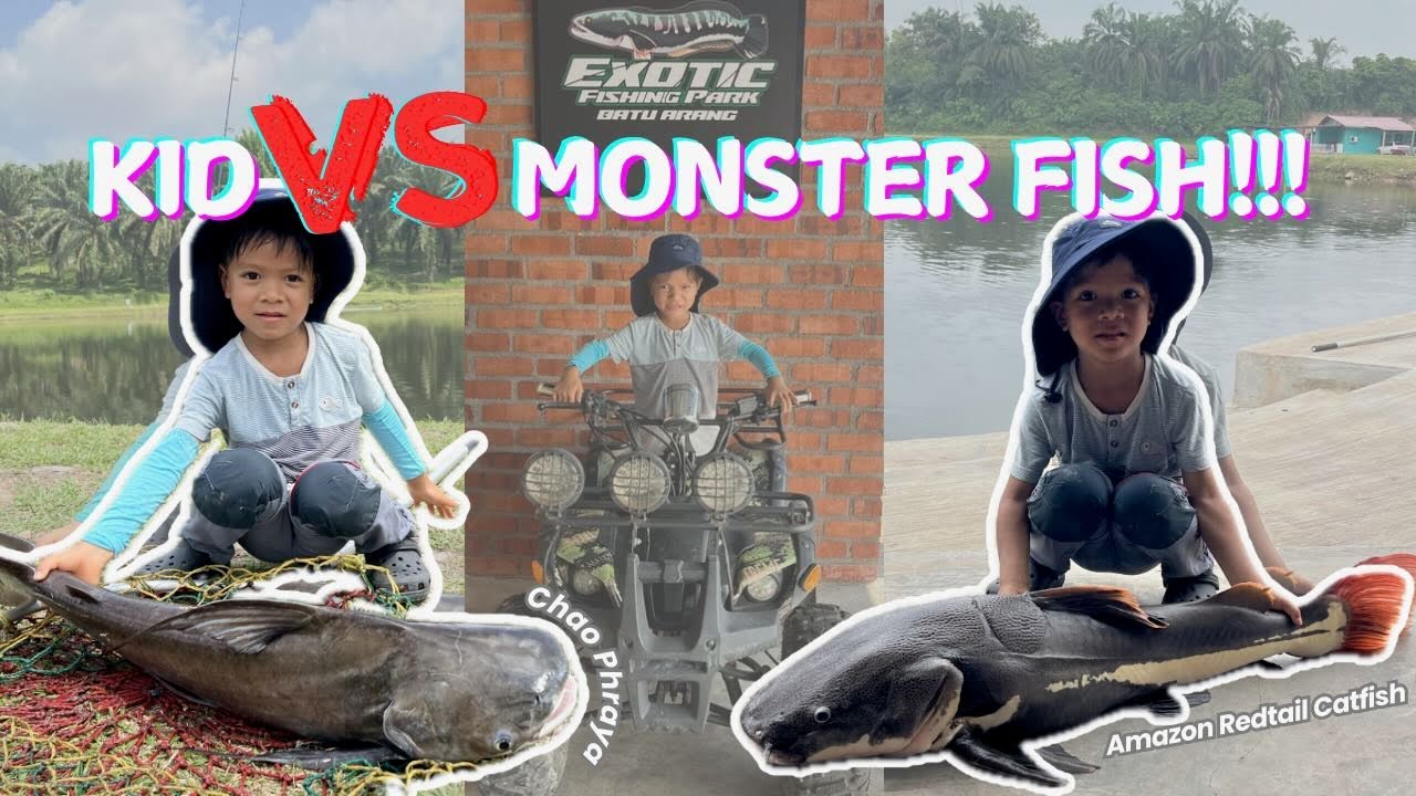 Kid VS Monster Fish - Batu Arang Exotic Fishing Park - YouTube