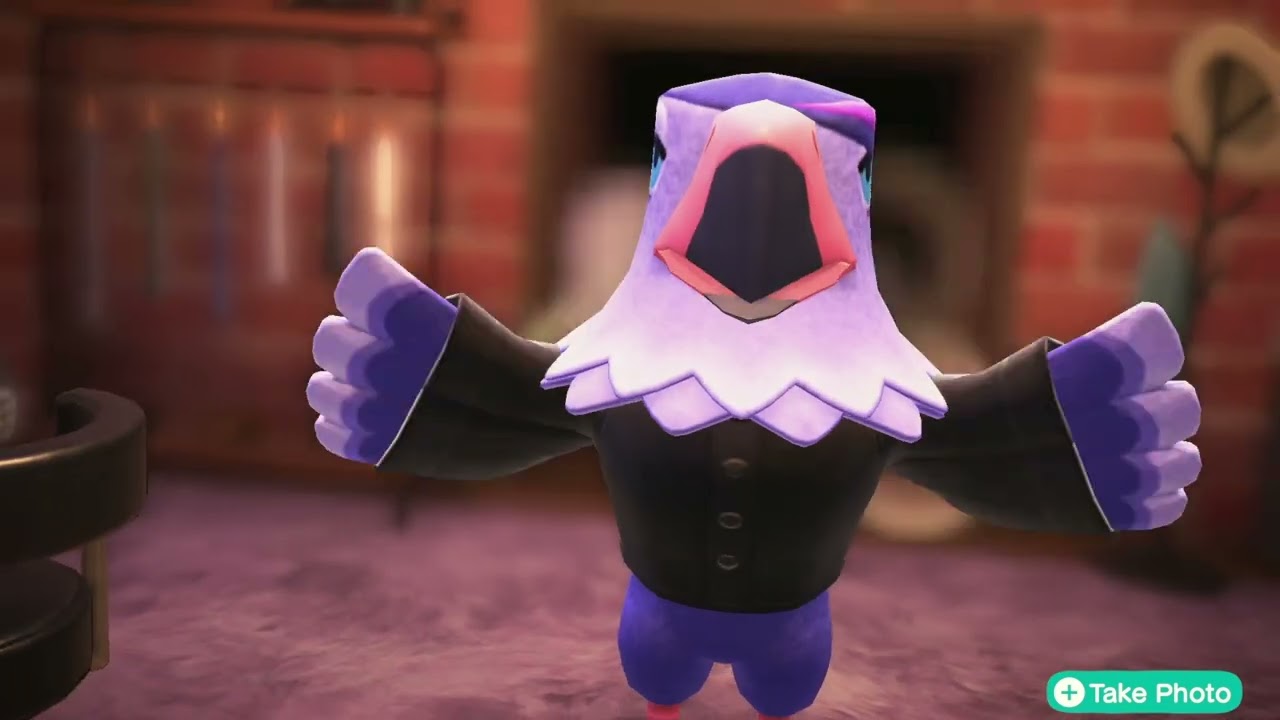 Quinn A Place to Express Myself 📷💻🧥 Animal Crossing New Horizons ...