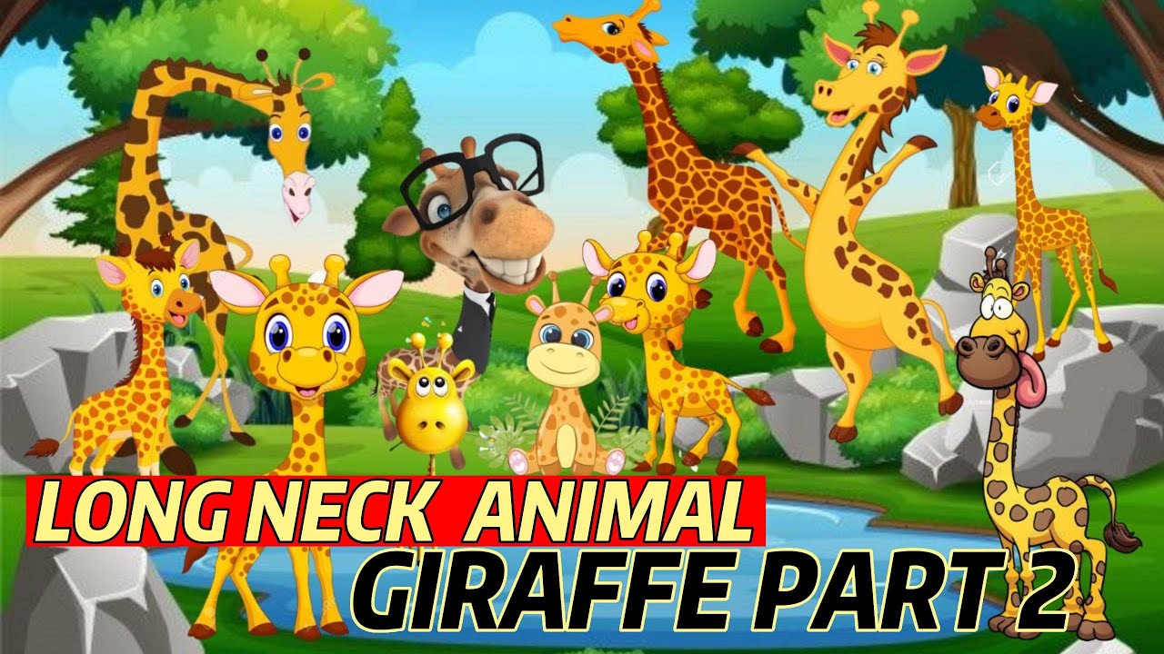 Giraffes for Kids Learn about Giraffes FreeSchool PART 2 - YouTube