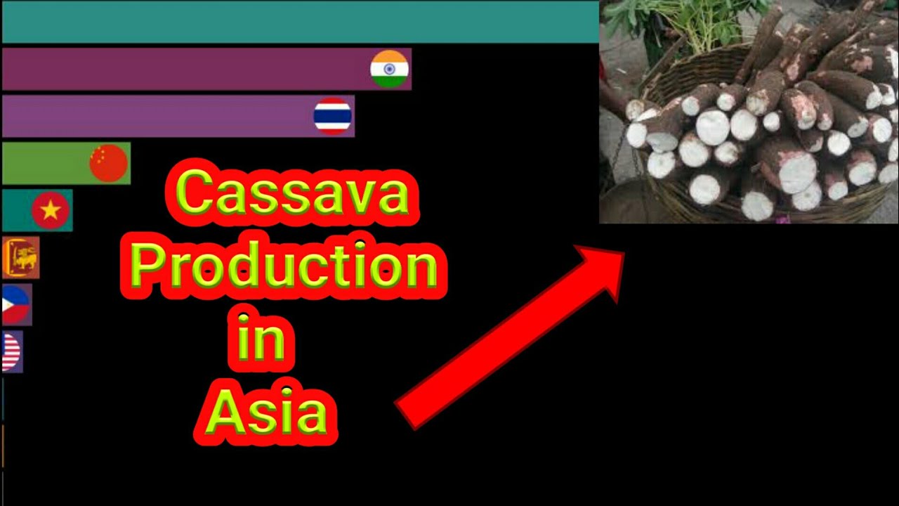 Cassava Production In Asia Cassava Producing Countries