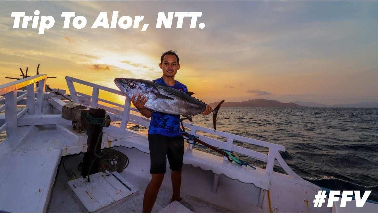 FISHING TRIP TO ALOR, NTT, INDONESIA. - YouTube