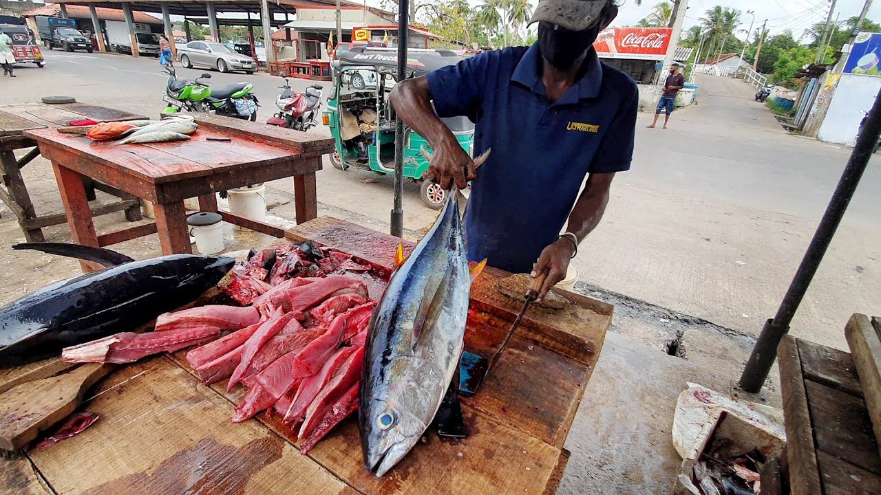Fresh Yellowfin Tuna Cutting | Tuna Cutting into Slices - YouTube