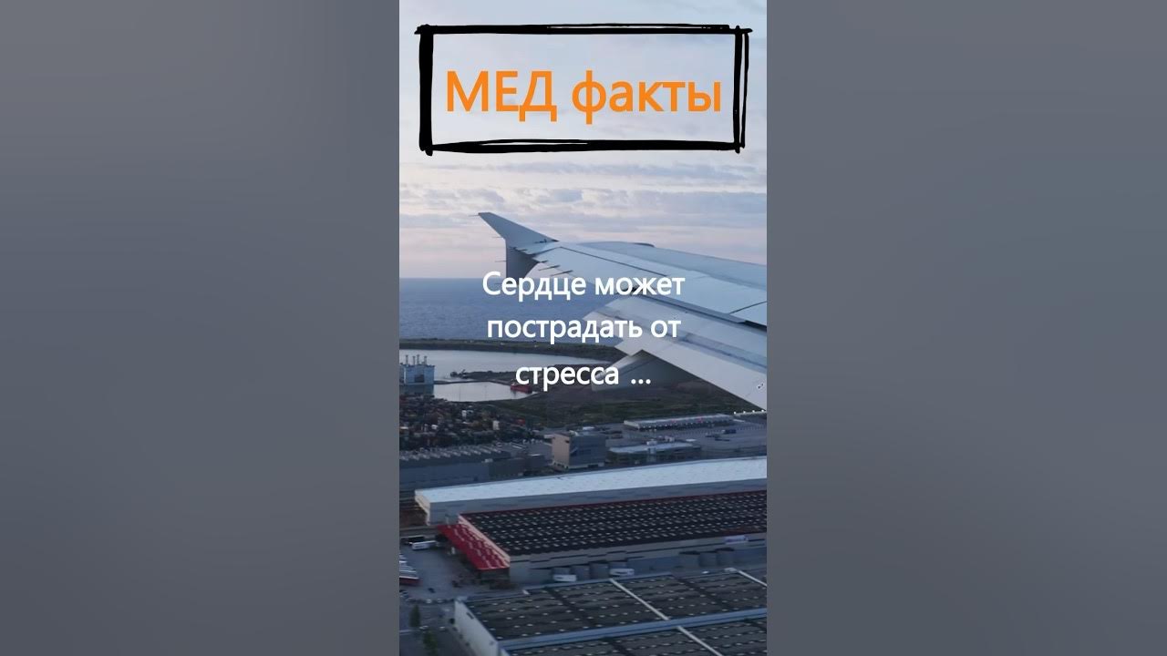 Как сердце может пострадать от стресса Youtube