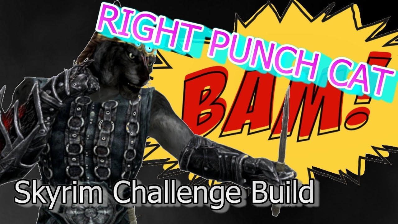 Skyrim CHALLENGE BUILD - RIGHT PUNCH CAT - A shiv in your left hand and ...