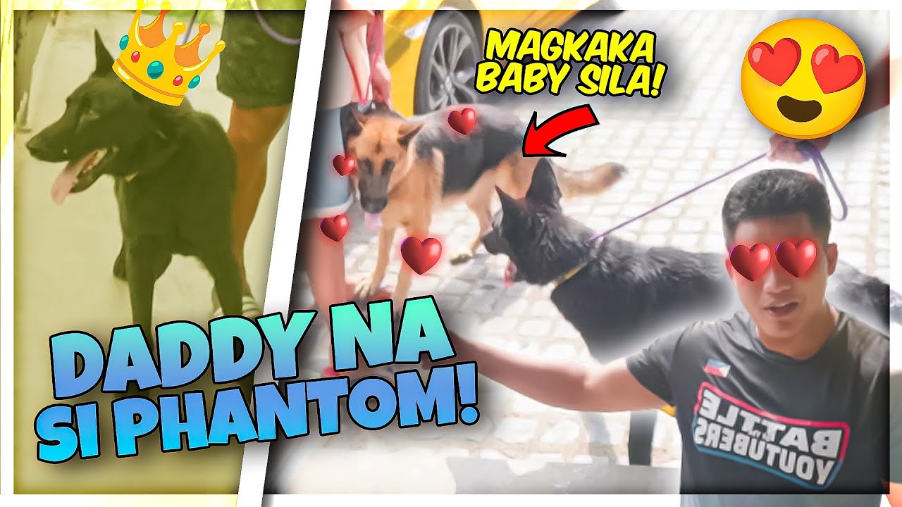 MAY GIRLFRIEND NA SI PHANTOM! (PHANTOM UPDATE) - YouTube