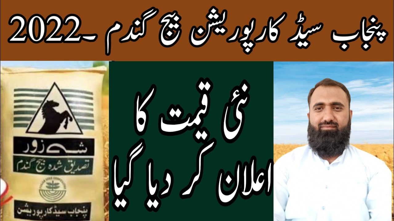 Punjab Seed Corporation Wheat Seed Price 2022 Bilal Kanju Official punjab-seed-corporation-wheat-seed-price-2022-bilal-kanju-official