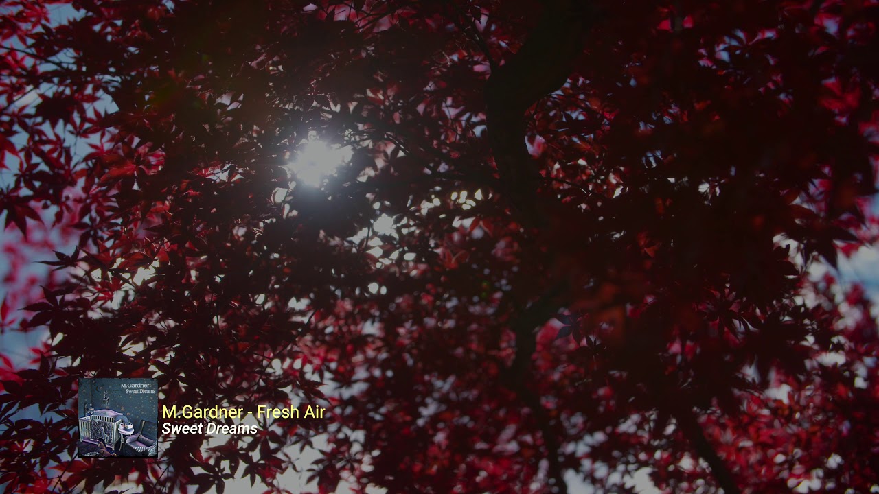 Fresh Air Video - YouTube Music