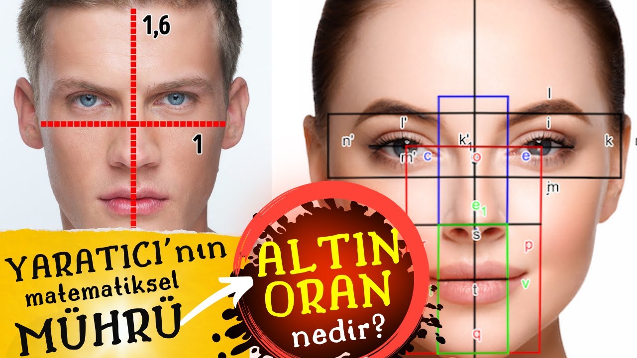 Allah'ın Matematiksel Mührü Altın Oran nedir? | Leonardo Fibonacci Fi ...