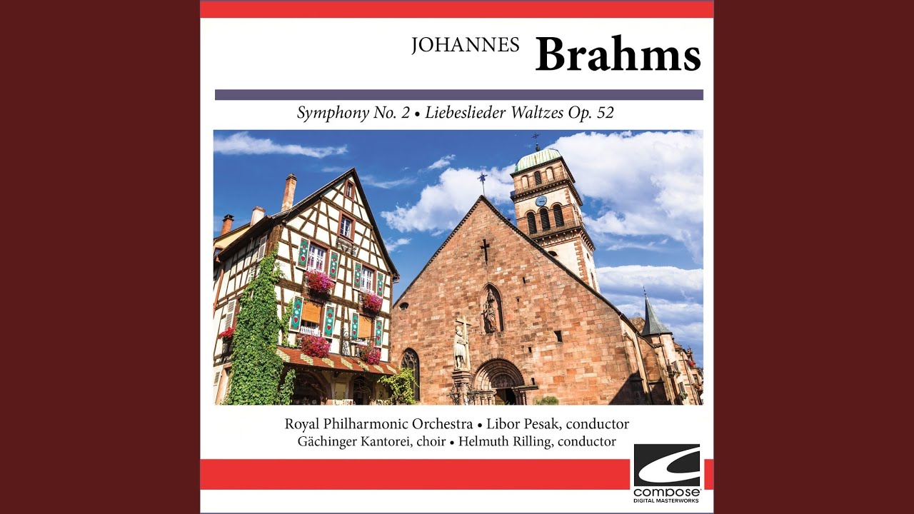 Brahms - Symphony No. 2 Op. 73 in D major - Allegro con spirito - YouTube