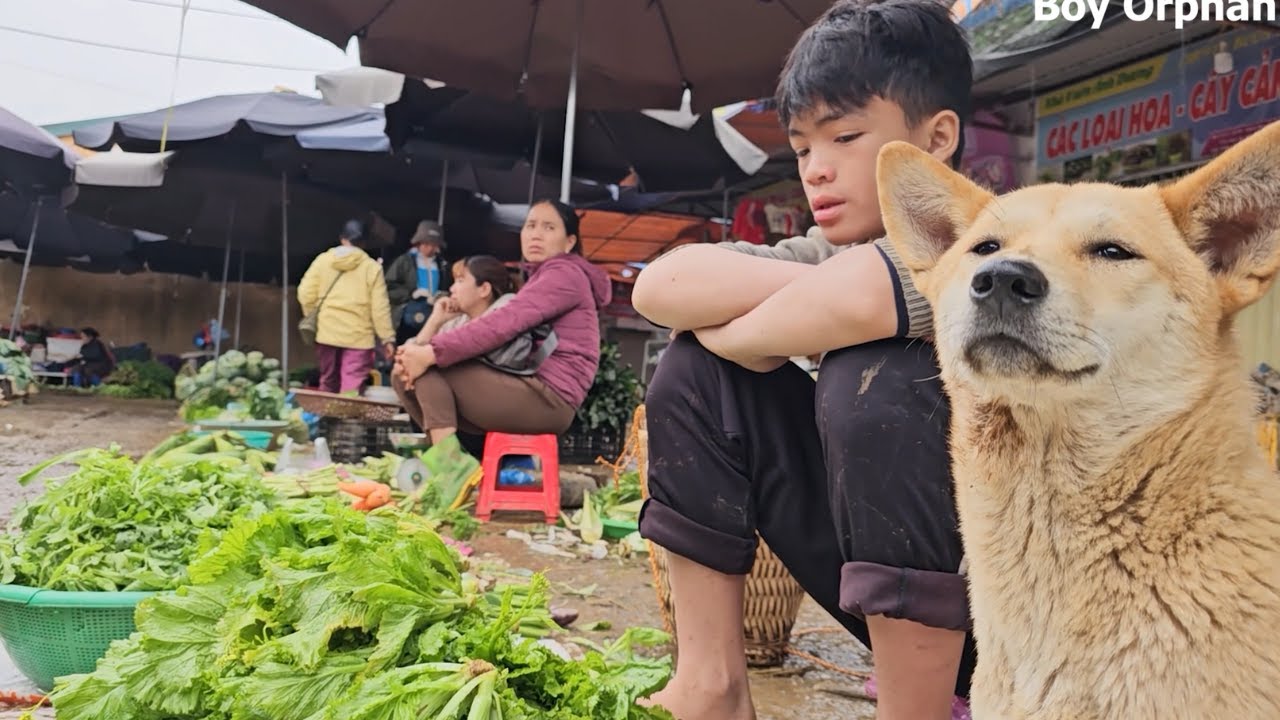 Full Video 75 Day Orphan Boy Daily Life and Little Dog - Take care ...
