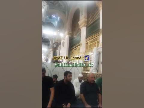 RIYAZ UL JANAAH KIS KO UNDAR SA DAKHNI NASEEB HOI 🌠#shorts #riyazul_jannah #trending # ...
