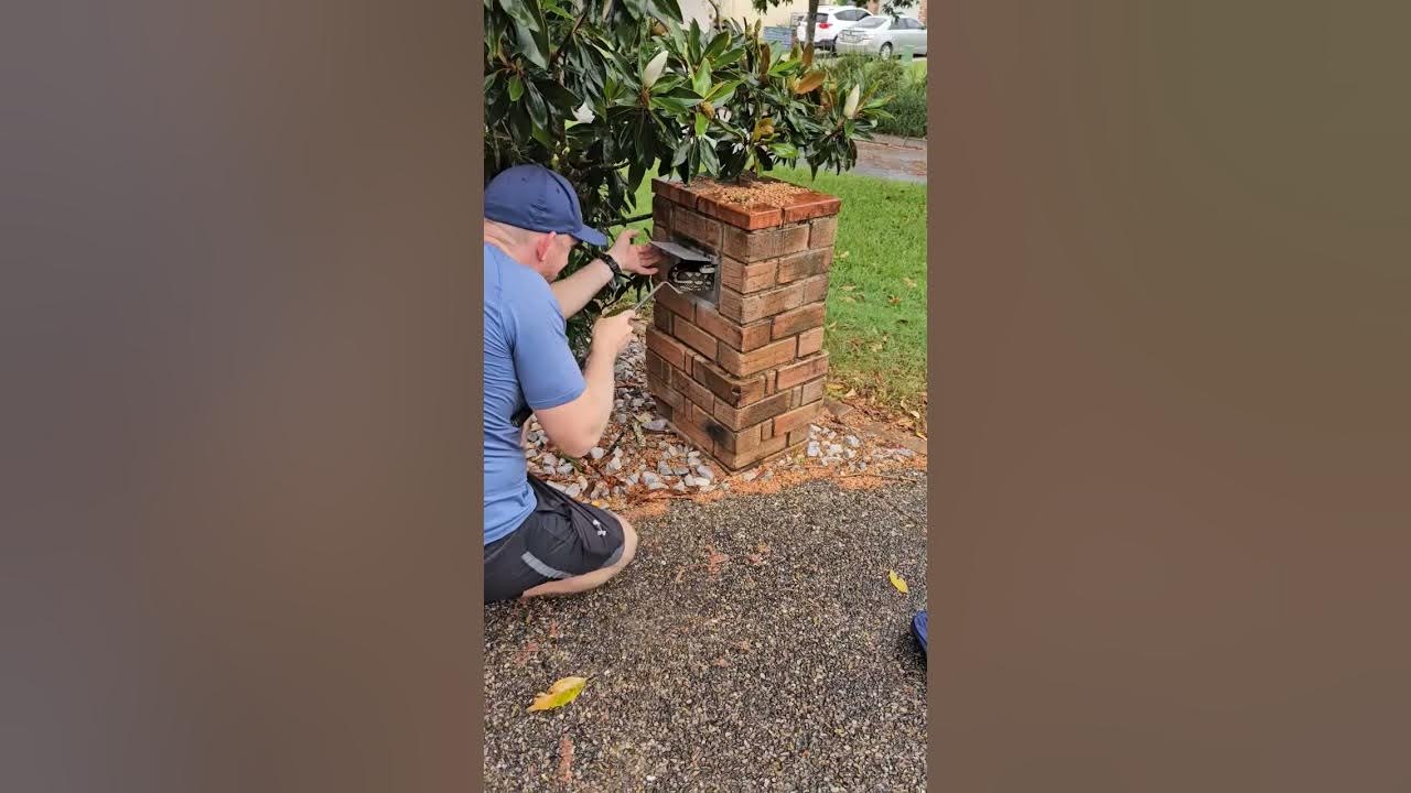 Snake in a mailbox?! - YouTube