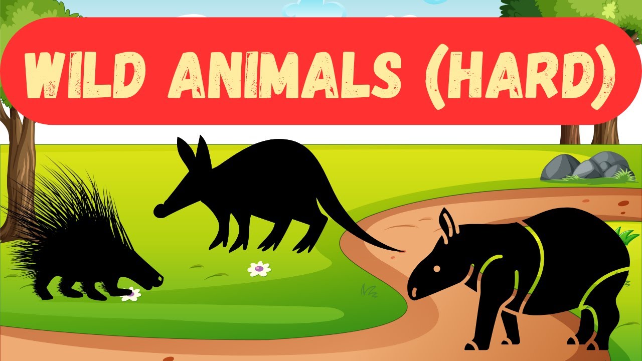 Guess the Wild Animal By Shadow ( Part-2 ) | Animal Quiz @XYZKIDSCLUB ...
