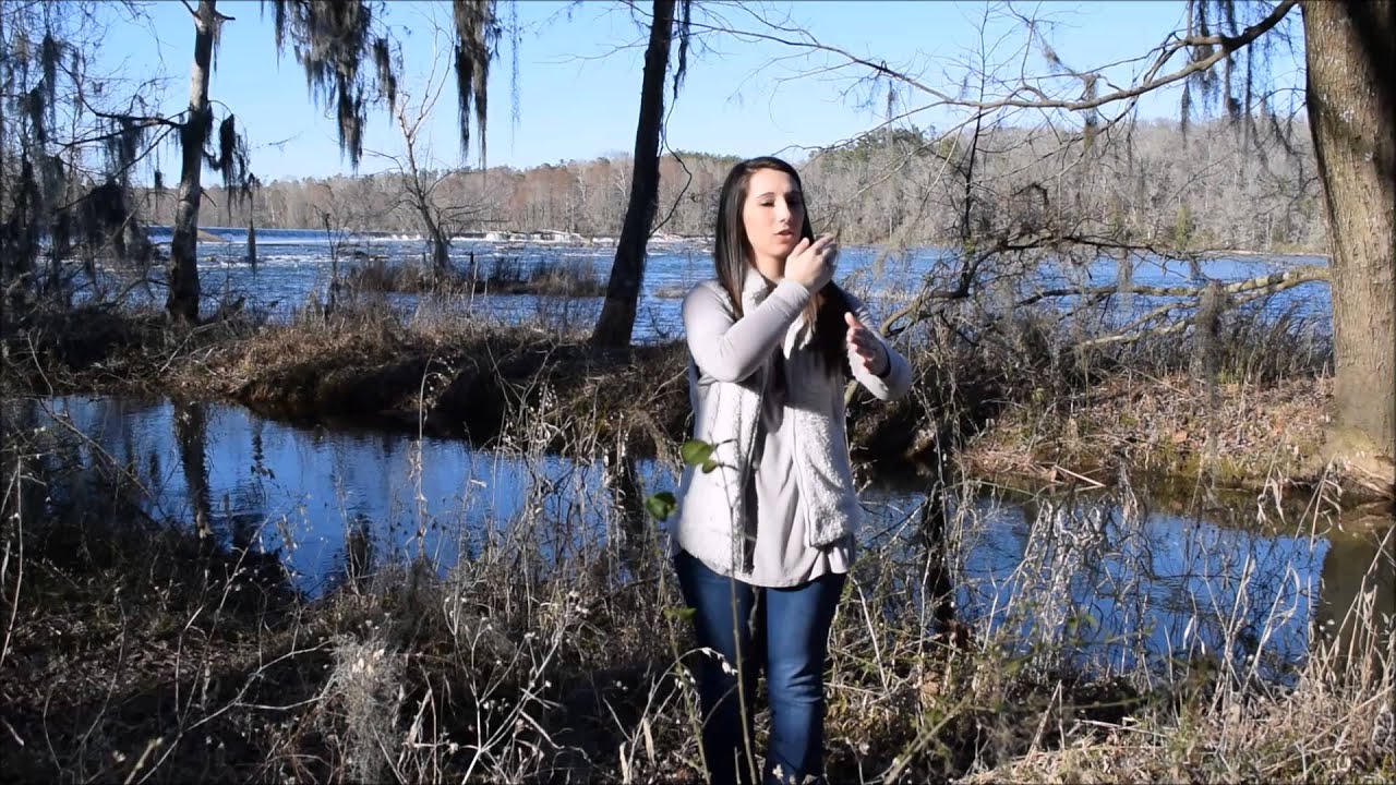 You Make Me Brave Sign Language - YouTube