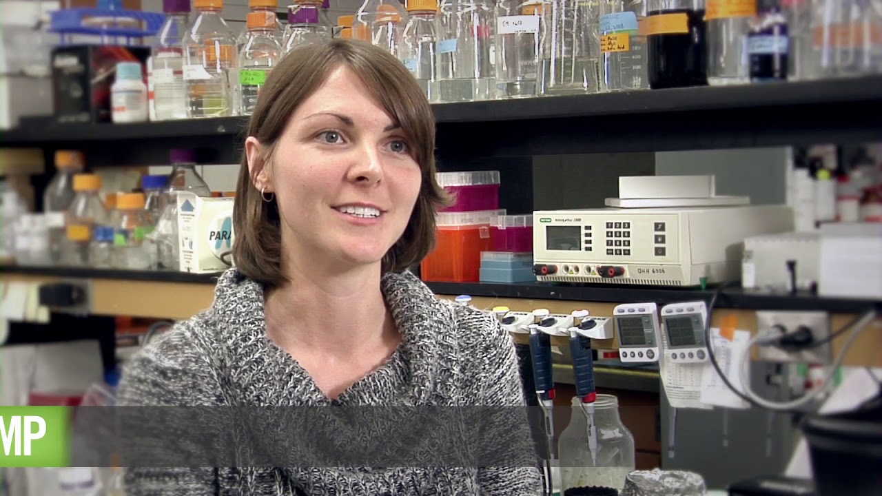 Medicine and pathodology research at Biomed Engineering UofT - YouTube