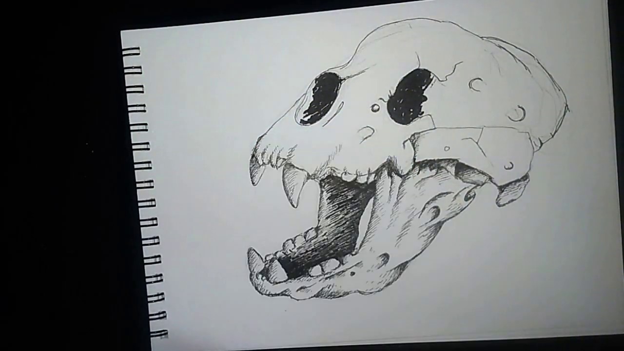 drawing animal skull with ink by hatching - YouTube