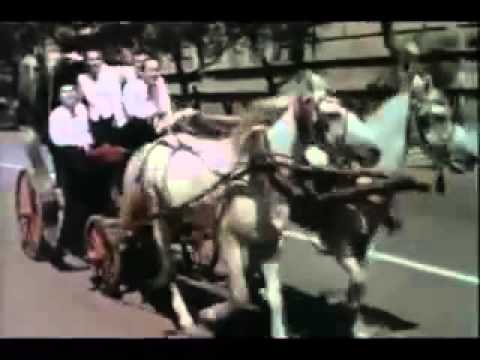Həyat sən nə qəribəsən (Qaya qurup)