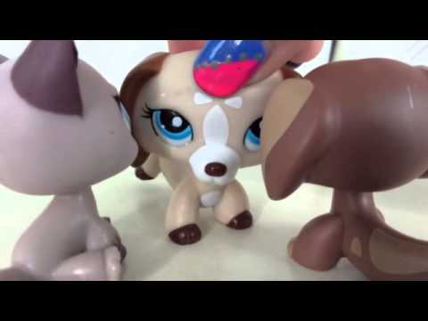 LPS Music Video "Count On Me" For Lilly and Abby - YouTube