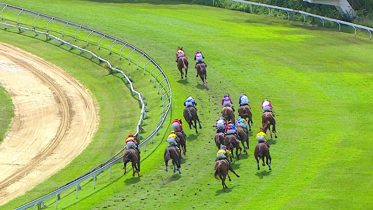 Thailand horse racing 2018 Jan, 7 | ม้าแข่งเที่ยว 2 ชั้น 5 - YouTube