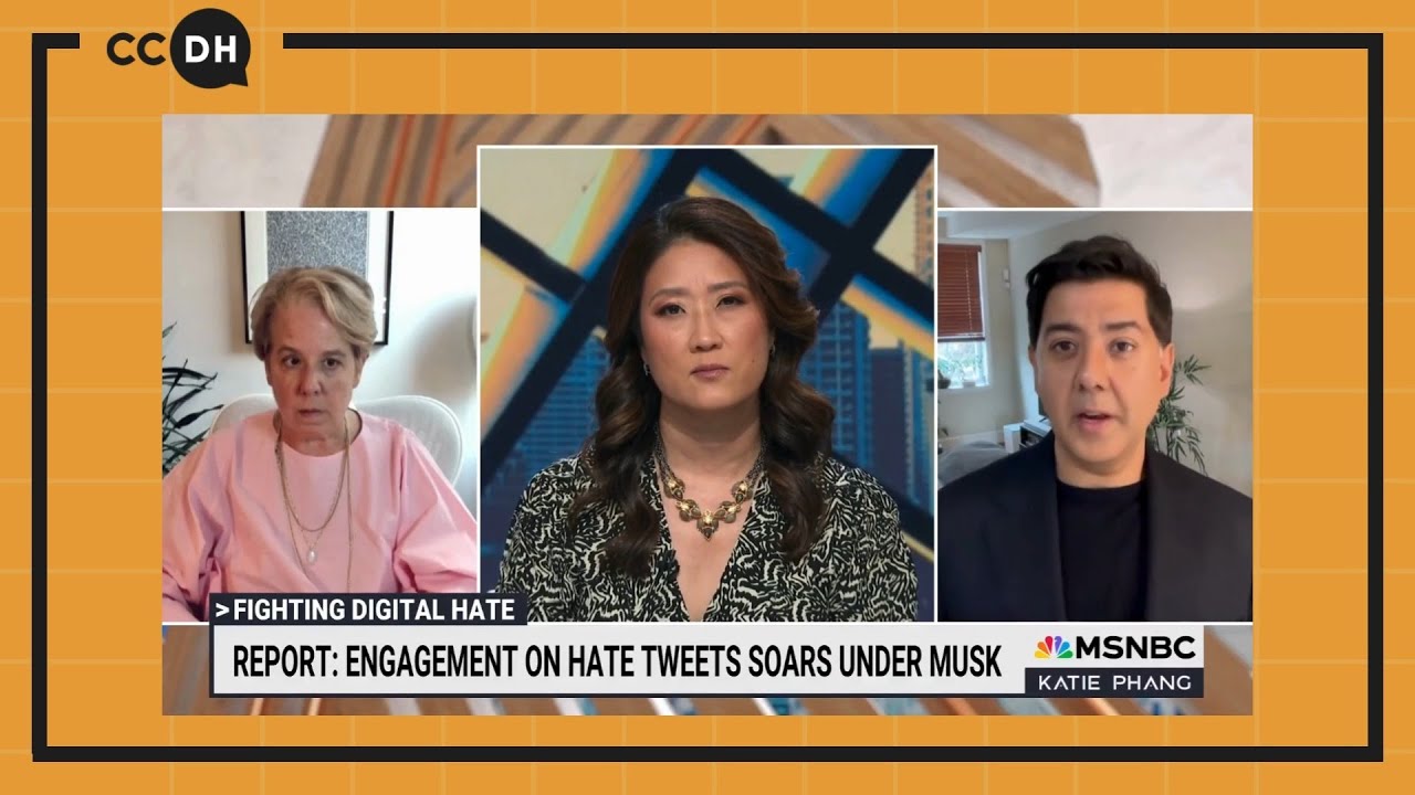 CCDH defeated Elon Musk's lawsuit: Our CEO Imran Ahmed on MSNBC - YouTube