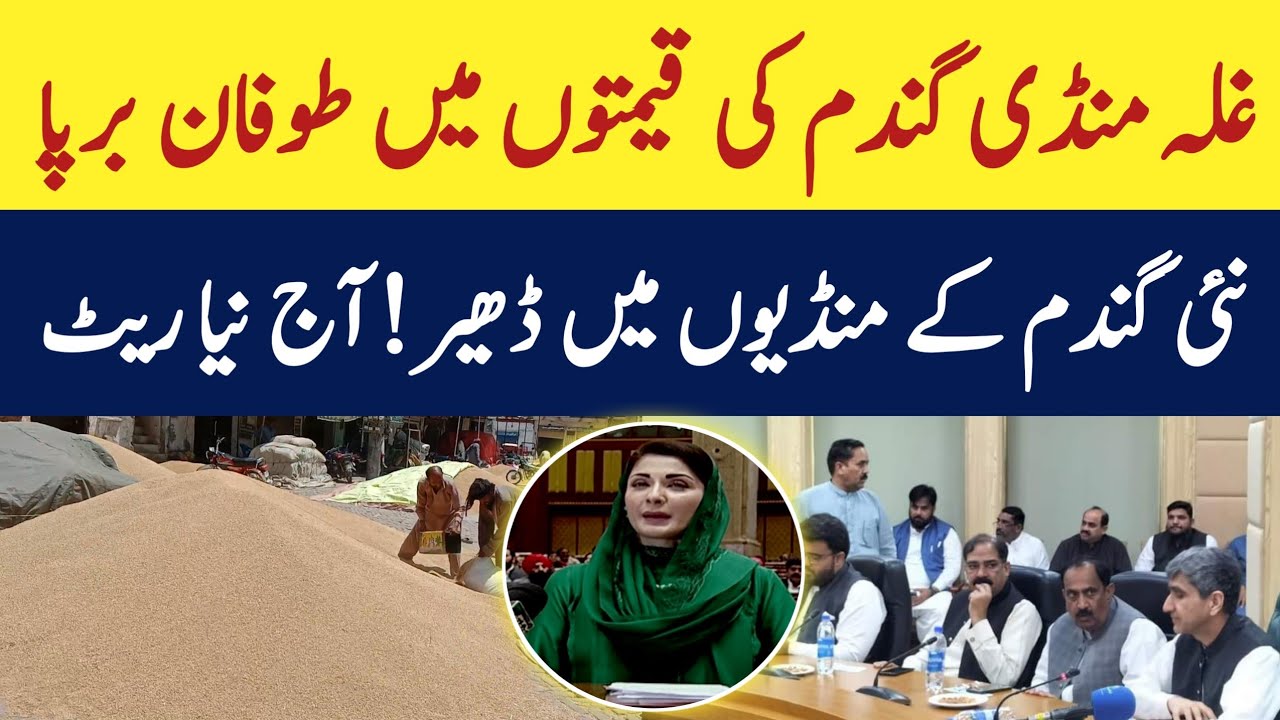 galla mandi ke rates today|2024 wheat price - YouTube