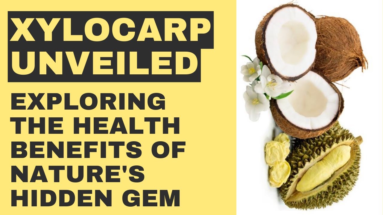 Xylocarp Unveiled: Exploring the Health Benefits of Nature's Hidden Gem ...