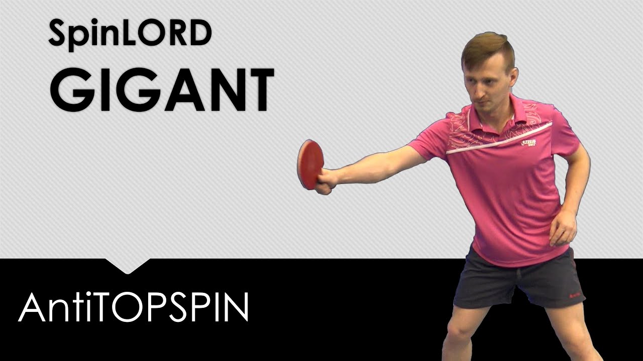 Spinlord Gigant - new generation of rubbers | TableTennisDaily