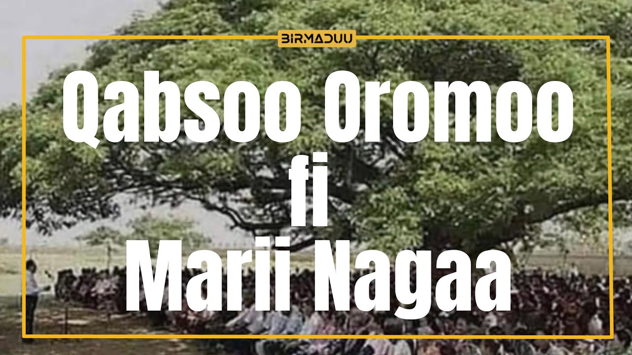 Qabsoo Oromoo fi Marii Nagaa - YouTube