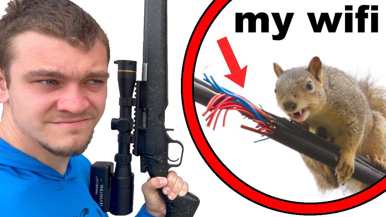 These Squirrels are Destroying My House! - YouTube